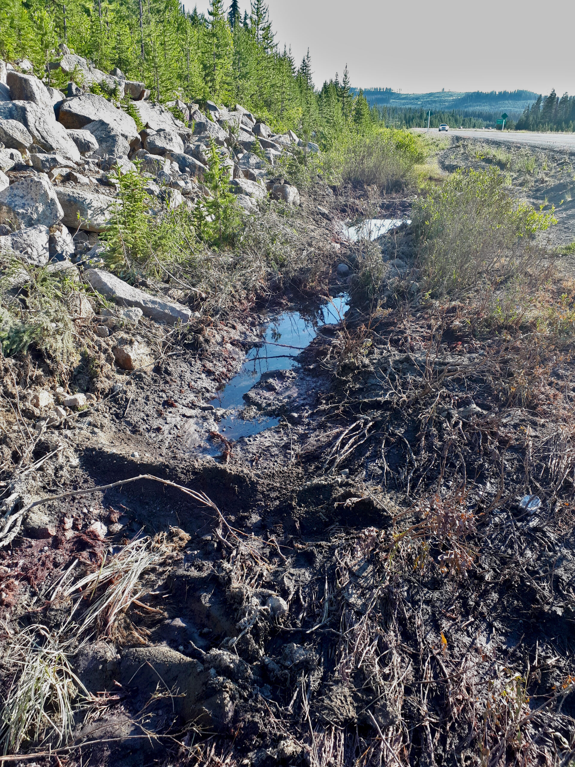 Our Services - Sun Ridge Environmental